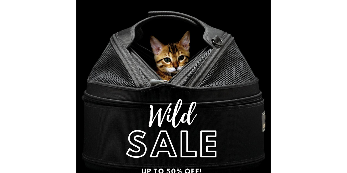 Cat food and cat accessories — Happy Paws