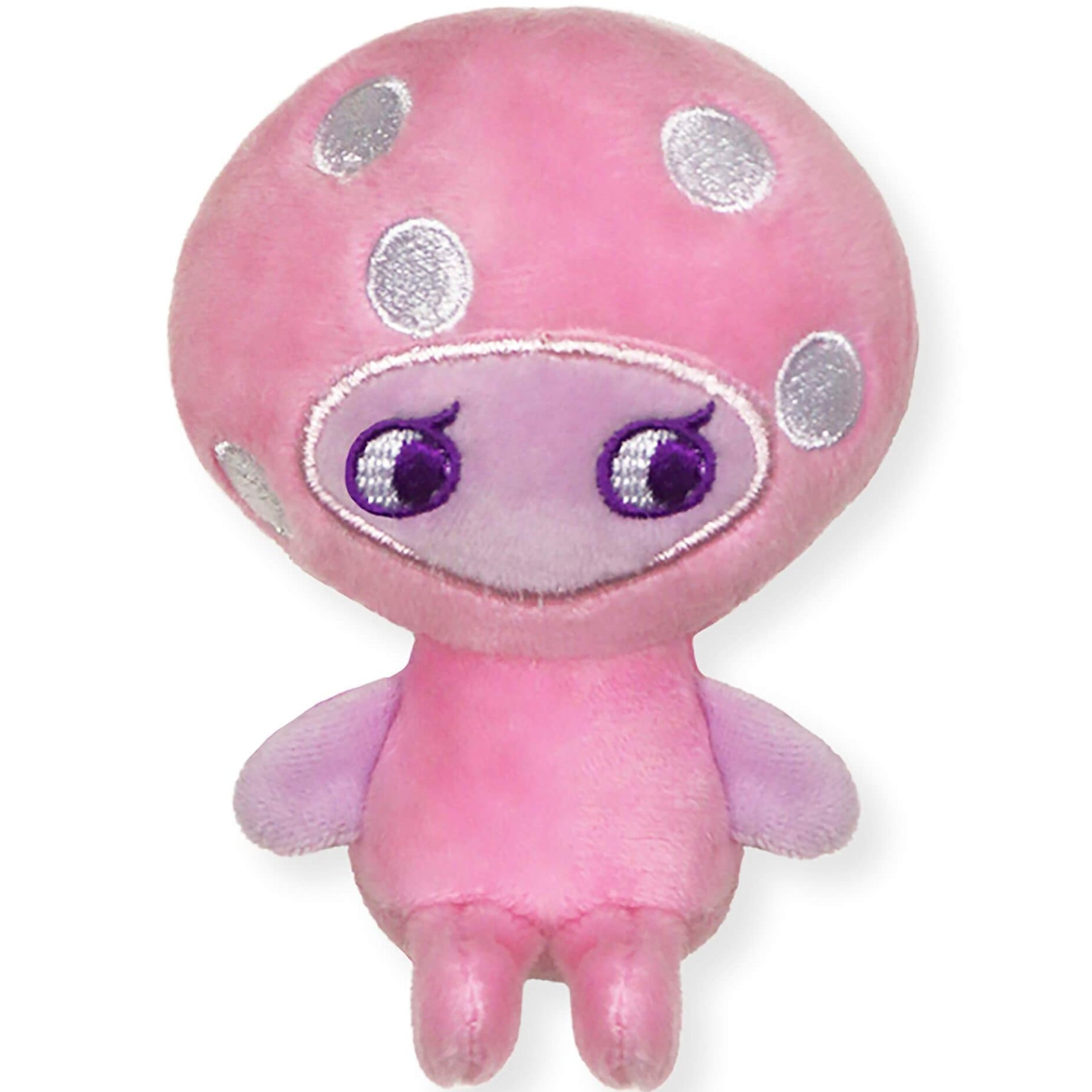 Dog food and dog accessories — Happy Paws