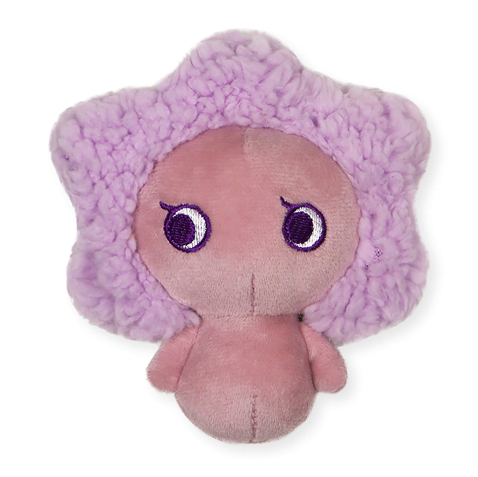 Dog food and dog accessories — Happy Paws