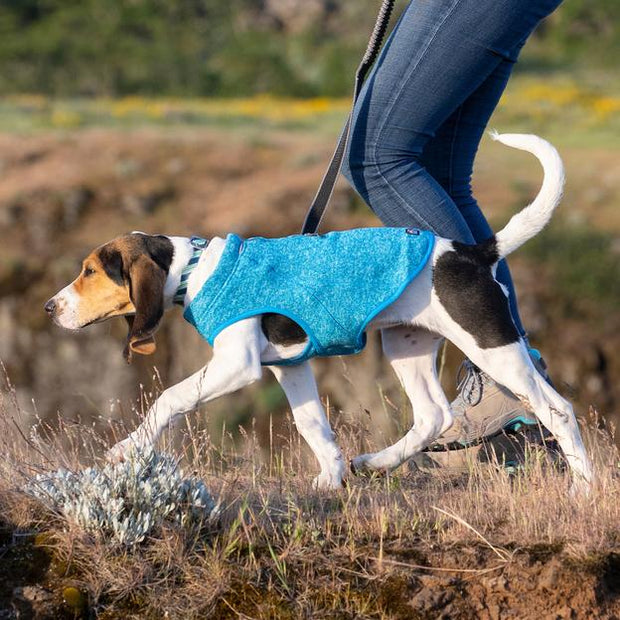 Switzerland online pet shop for quality pet products. — Happy Paws